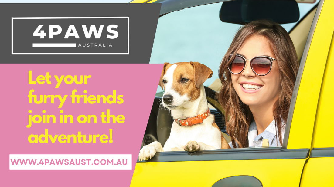 Pet Products for your furry friends – 4Paws Australia